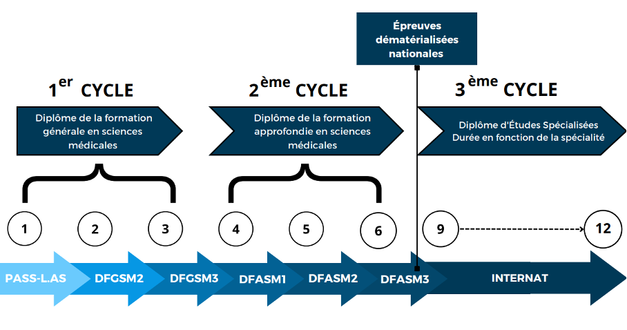 Tout savoir sur la filière Médecine - IPESUP